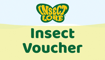 Collections Archive - Insect Lore Europe