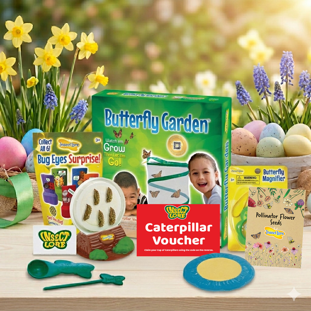 Easter Gifts 2026 - Insect Lore Europe