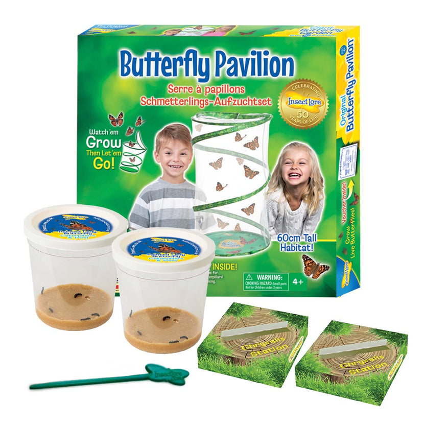Butterfly Pavilion with 6-10 LIVE Caterpillars - Insect Lore Europe