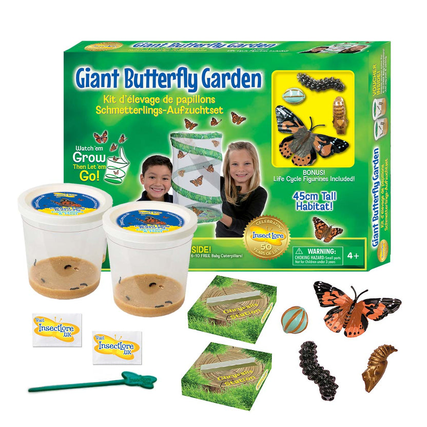 Giant Butterfly Garden - Insect Lore Europe