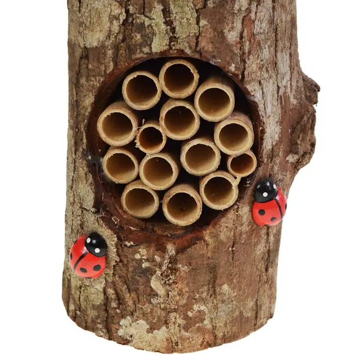 Ladybird and Insect Bug Hotel - Insect Lore Europe