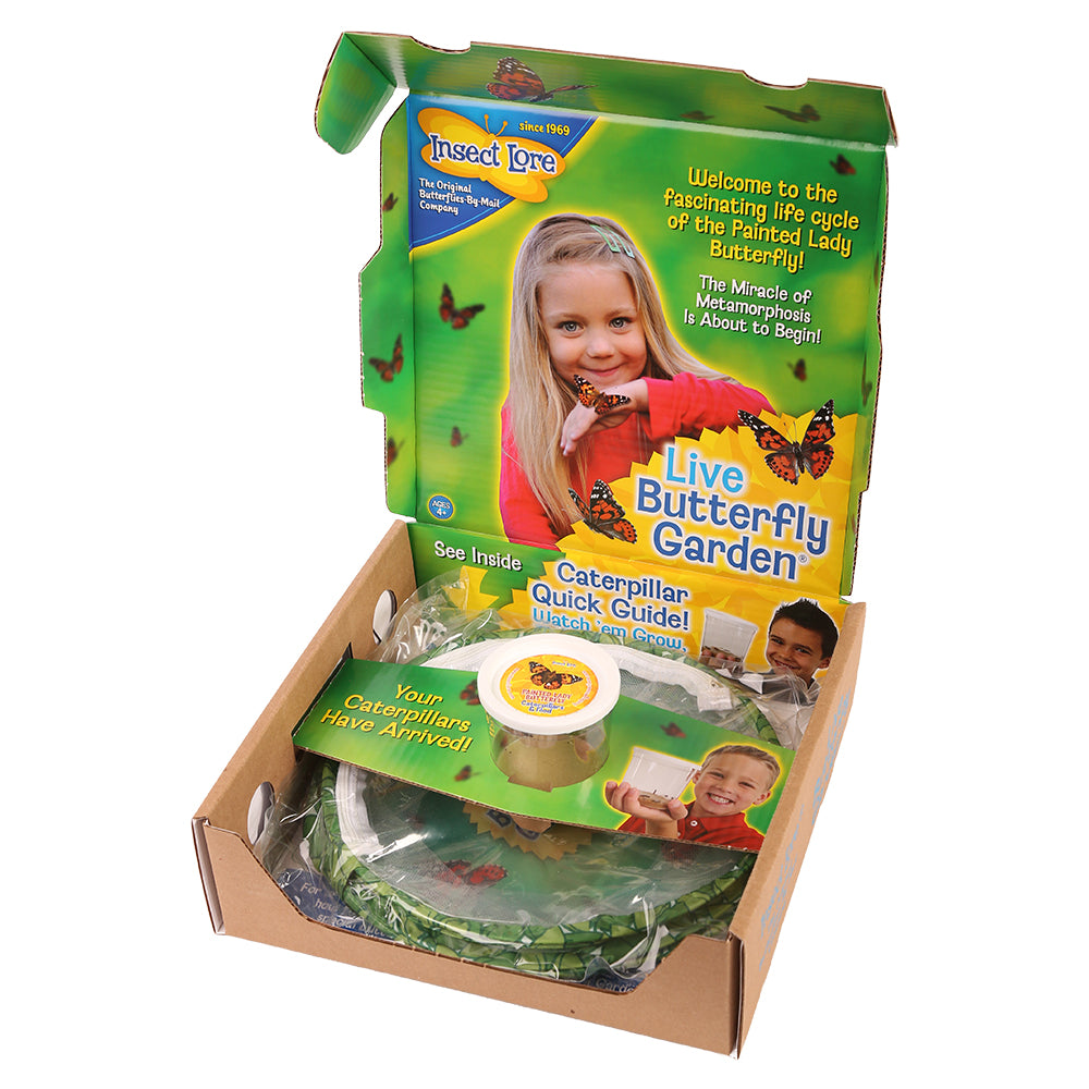 The Original Insect Lore Butterfly Garden - Insect Lore Europe
