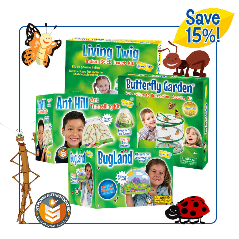 Big Bug Bundle! Explore Insects with Fun Kits - Insect Lore Europe