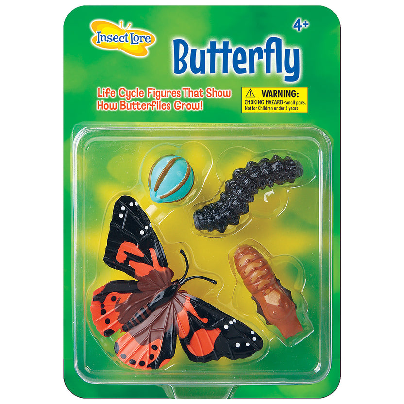 Painted Lady Butterfly Life Cycle Stages - Insect Lore Europe