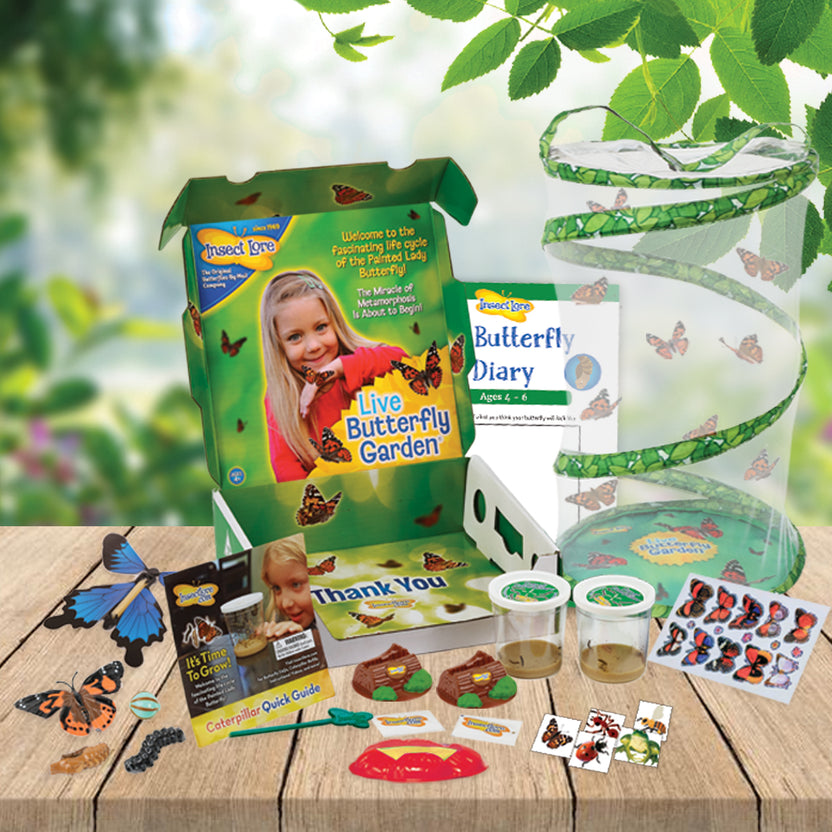 GIANT Butterfly Garden Gift Set - Insect Lore Europe
