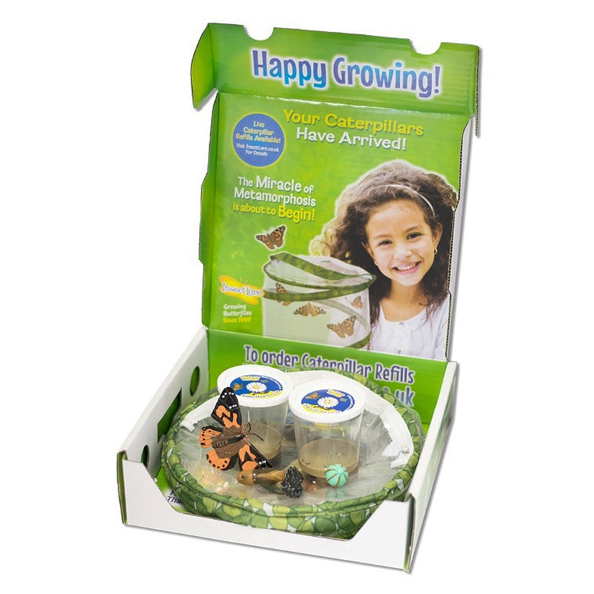 Giant Butterfly Garden - Insect Lore Europe