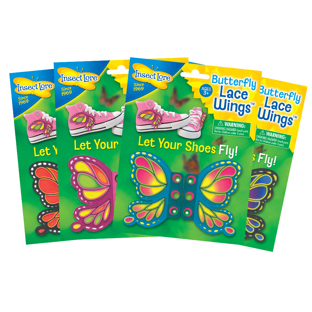 Butterfly Lace Wings - Insect Lore Europe