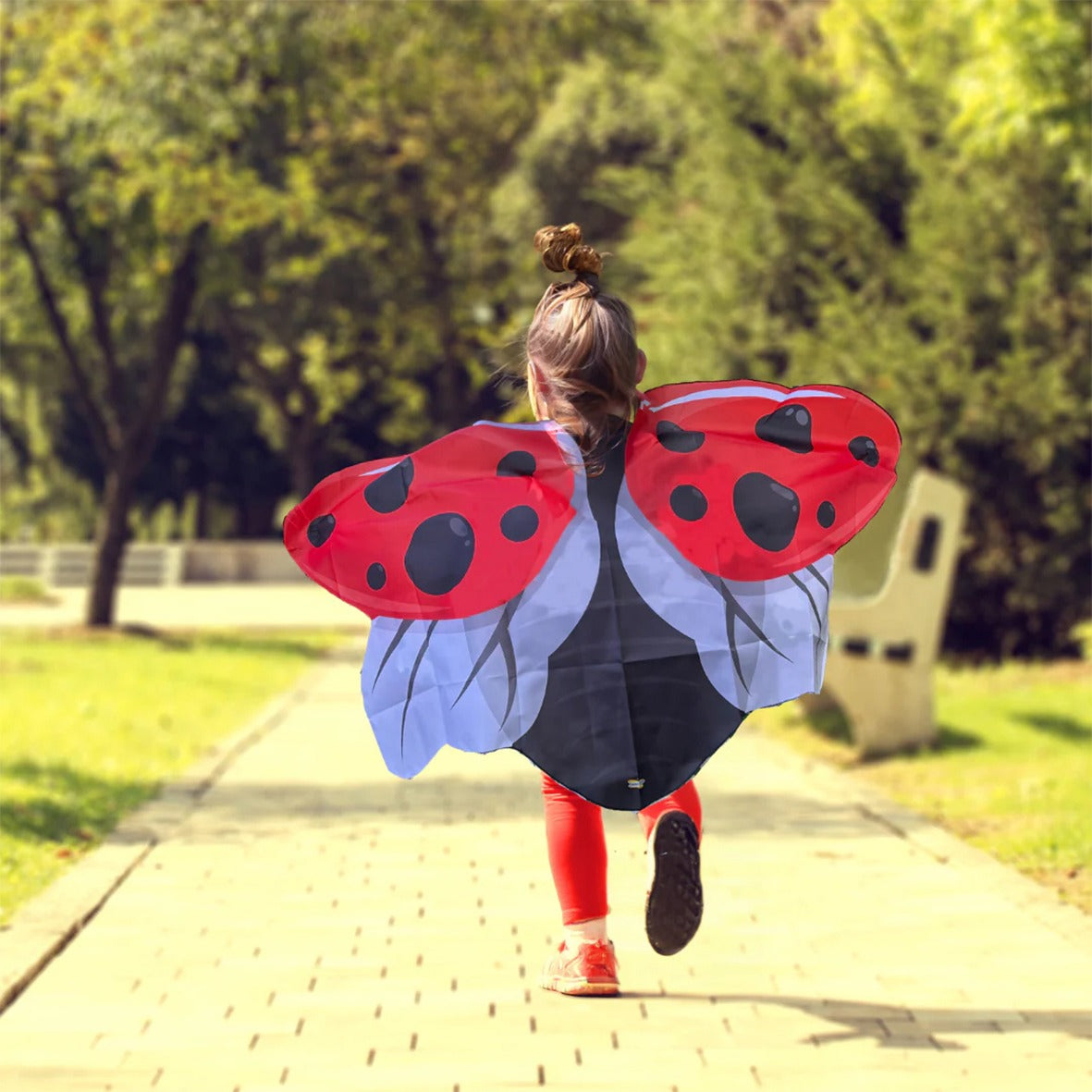 Red Ladybird Wings - Insect Lore Europe