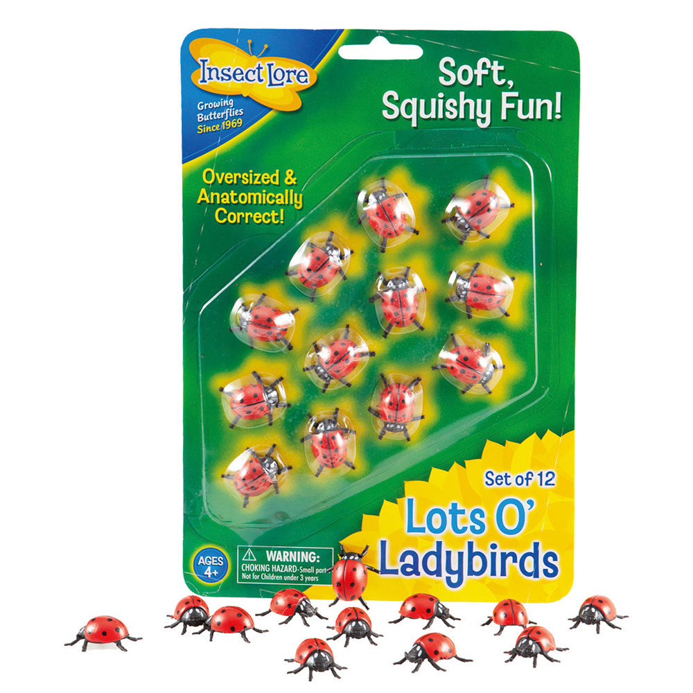 Lots O Ladybirds - Insect Lore Europe