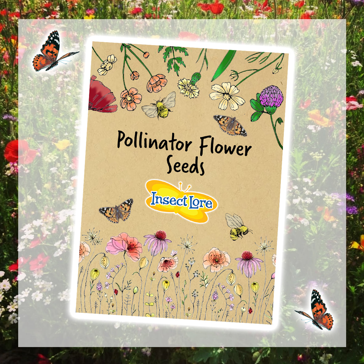 Wildflower Seeds - Insect Lore Europe