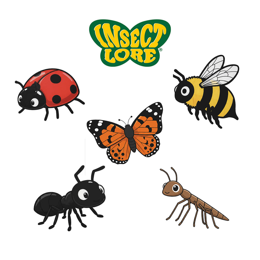 Temporary Bug Tattoos - Insect Lore Europe