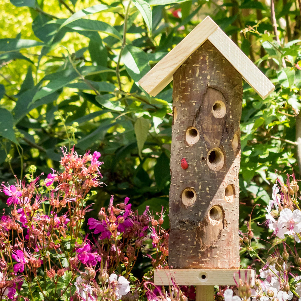 Ladybird and Insect Tower - Insect Lore Europe