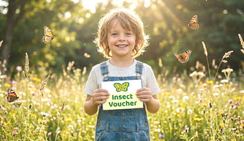 Insect Lore Europe