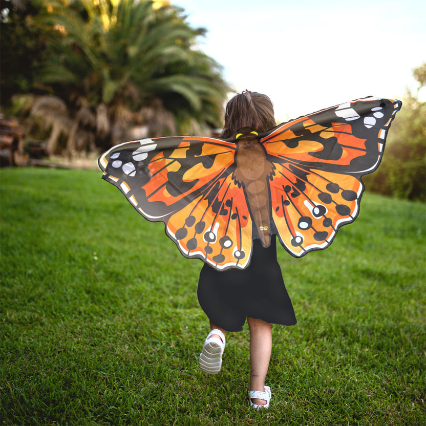 Painted Lady Butterfly Wings - Insect Lore Europe