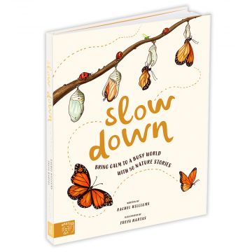 Books about Bugs | Insect Lore