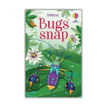 Toys | Fun & Games | Insect Lore