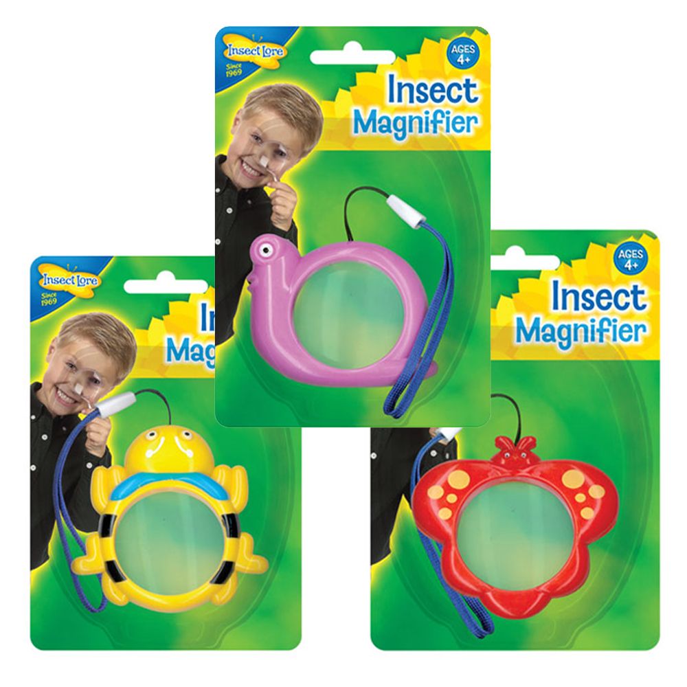 Mini Beasts Mags | Insect Lore