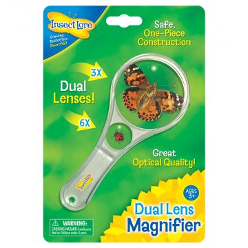 Minibeasts | Insect Kits | Accessories | Insect Lore