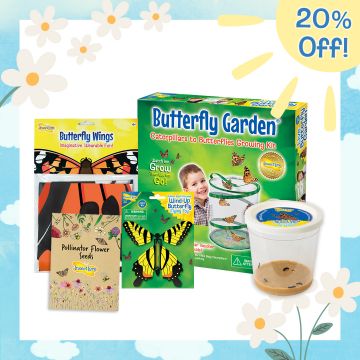 Butterflies & Caterpillars | Accessories | Releases | Insect Lore