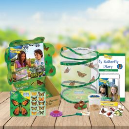 Butterfly Garden Gift Set With Live Cup of Caterpillars | Insect Lore