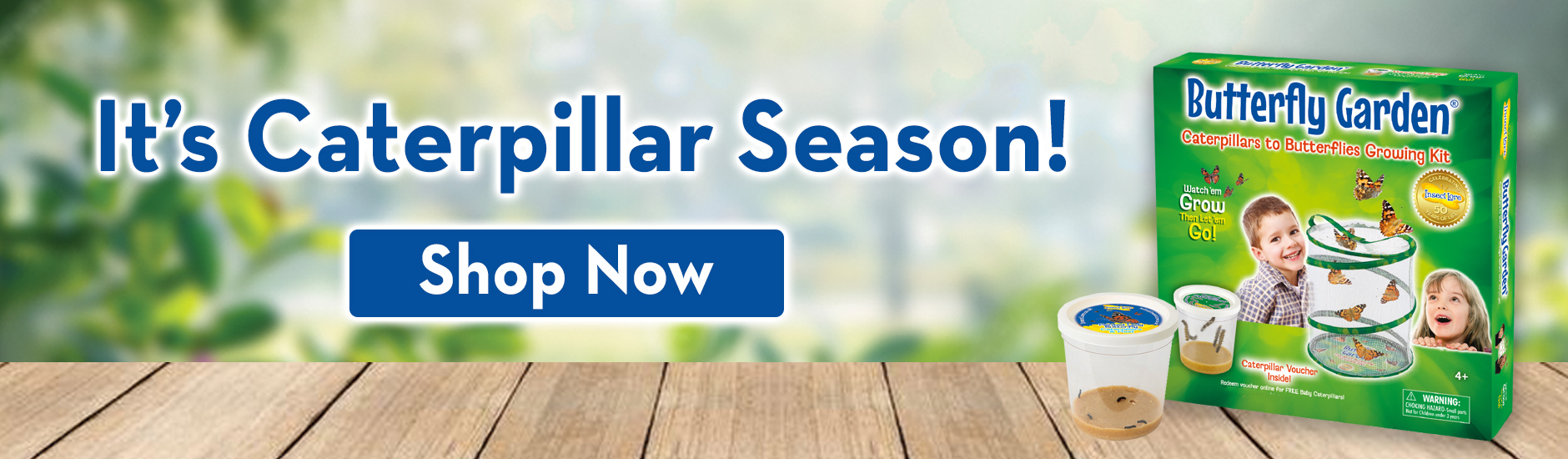 Insect Lore Caterpillar Quick Guide at Landon Artis blog