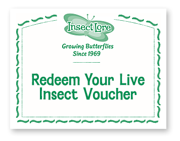 Redeem your voucher | Insect Lore